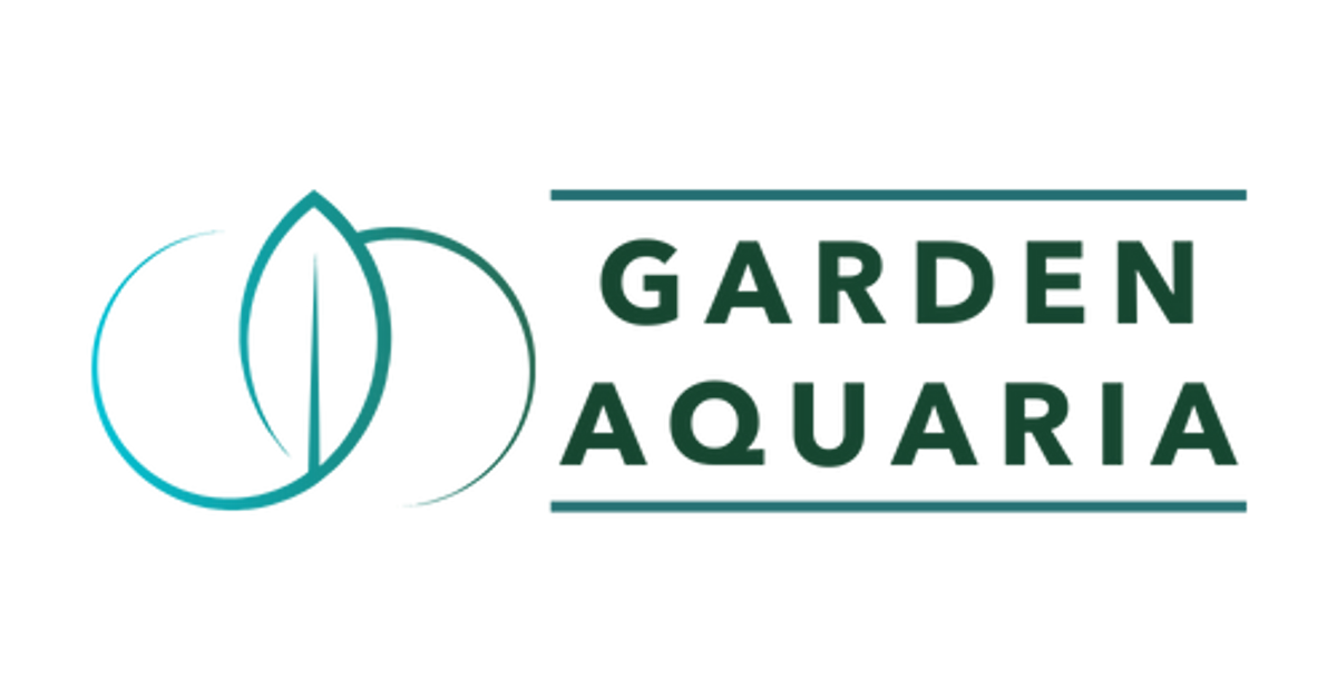 Begonia U062 – Garden Aquaria